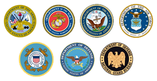 VA Program | Global Information Technology